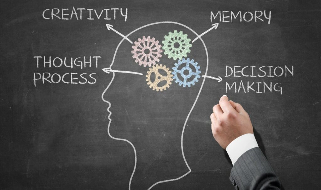 How the Brain Processes Information and Why You Should Care